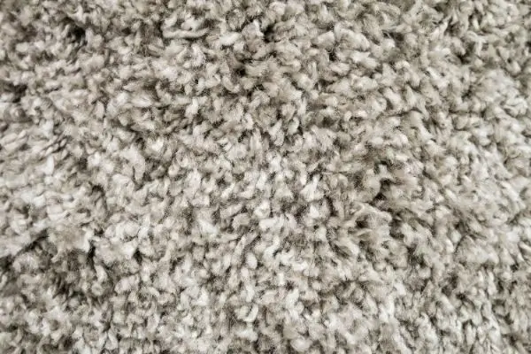 Cut Pile vs Loop Pile Carpet: Which One is Best for Your Home?